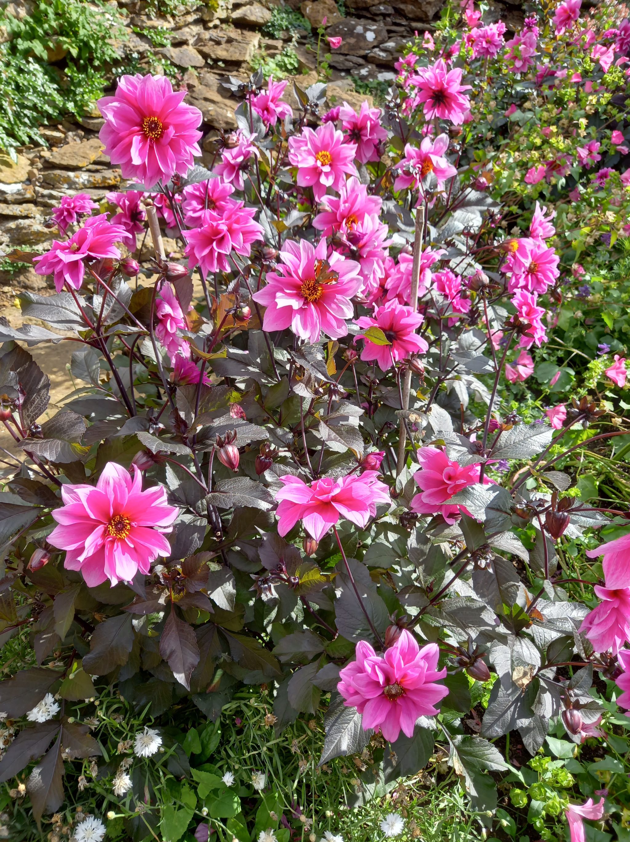 Fragrant Words – The Goddess Notes